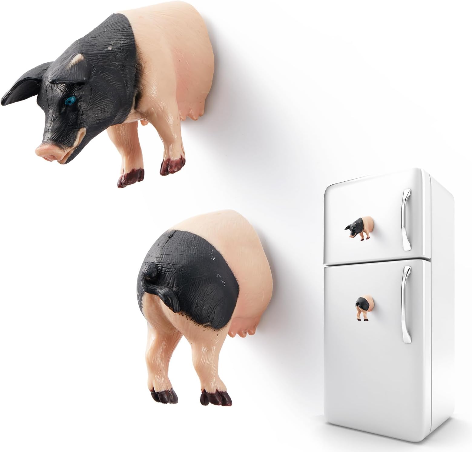 Amazon.com: 12 Insect Magnets - Bring The Nature to Your Fridge with ...