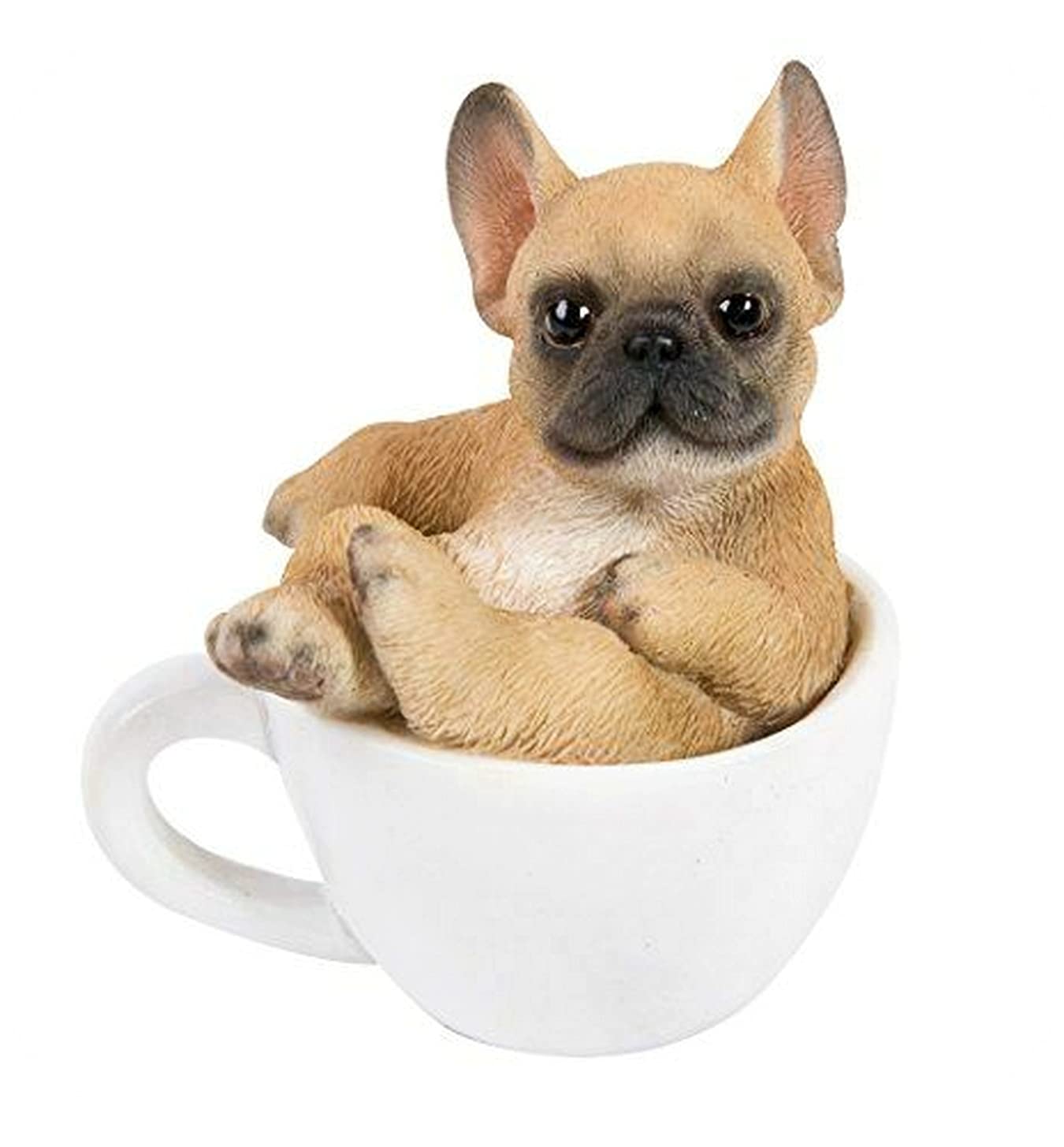 Mini French Bulldog Puppies