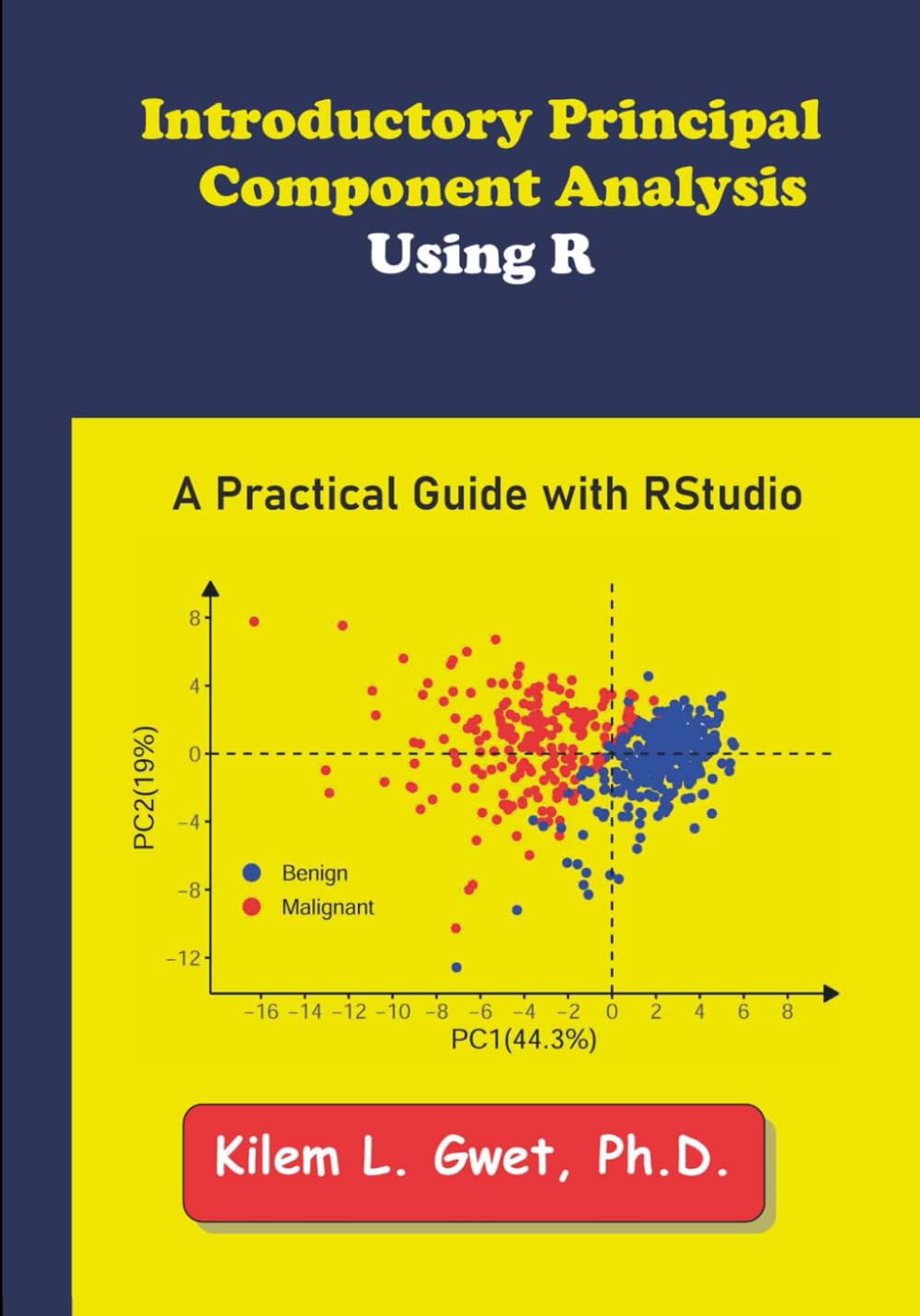 Introductory Principal Component Analysis Using R: A Practical Guide ...