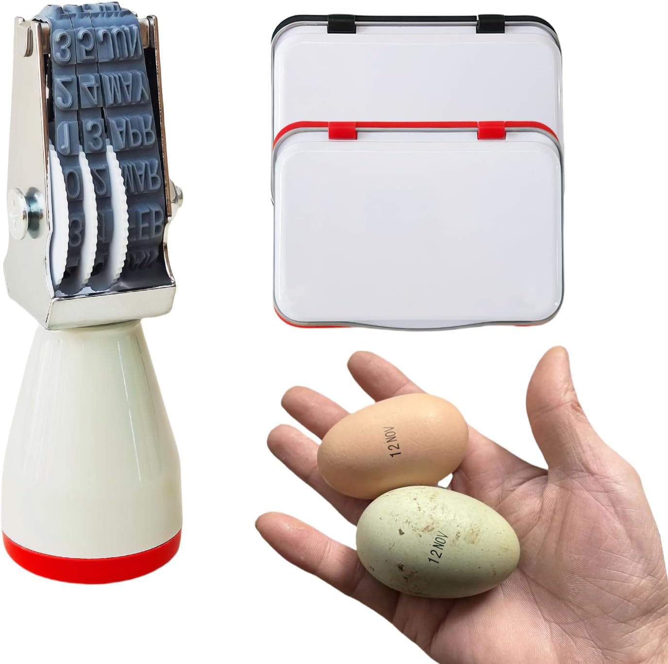 Homvik Egg Date Stamp for Fresh Eggs, Rubber Egg Stamper, Suitable for ...