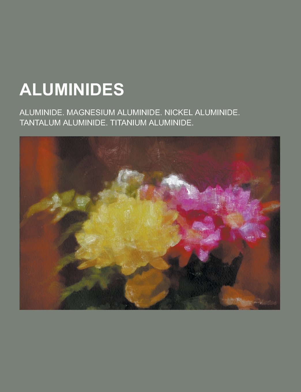 Amazon.co.jp: Aluminides: Aluminide. Magnesium Aluminide. Nickel ...