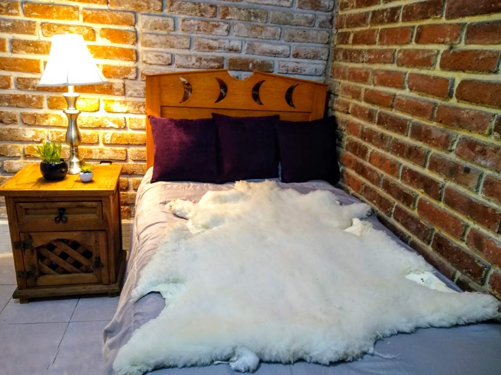 Zalea De Borrego 100% Genuina Y Lavable para Enfermos : Amazon.com.mx ...