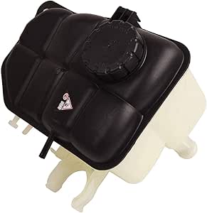 Amazon.com: Bapmic 2035000049 Coolant Overflow Reservoir Expansion Tank ...