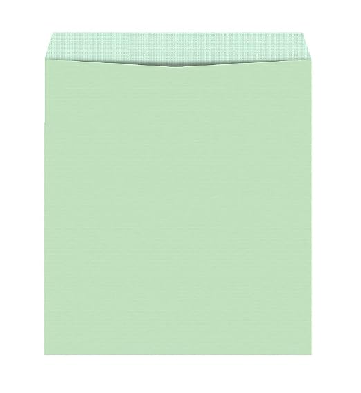 NSSP™ A4 Size 12x10 Inch Cloth Line Courier Cover Set Of 25pcs,Courier ...