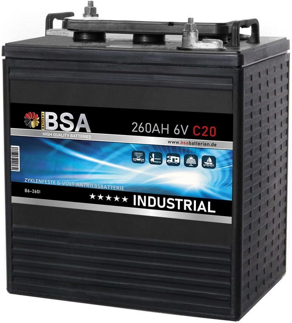 BSA Batterie 6V 260Ah C20 Traktionsbatterie Antrieb Gabelstapler ...