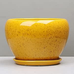 LNPTAL Large Yellow Ceramic Plant Pot with Drainage Hole and Saucer ...