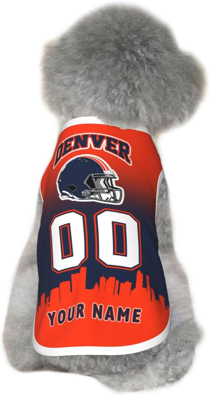 Amazon.com : Custom Denver Dog Shirt Persoanlzied Pet Jerseys with Name ...