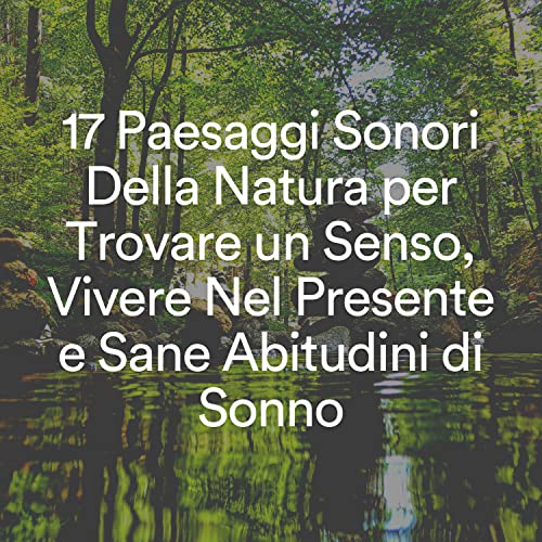 Spiele 17 Paesaggi Sonori Della Natura per Trovare un Senso, Vivere Nel ...