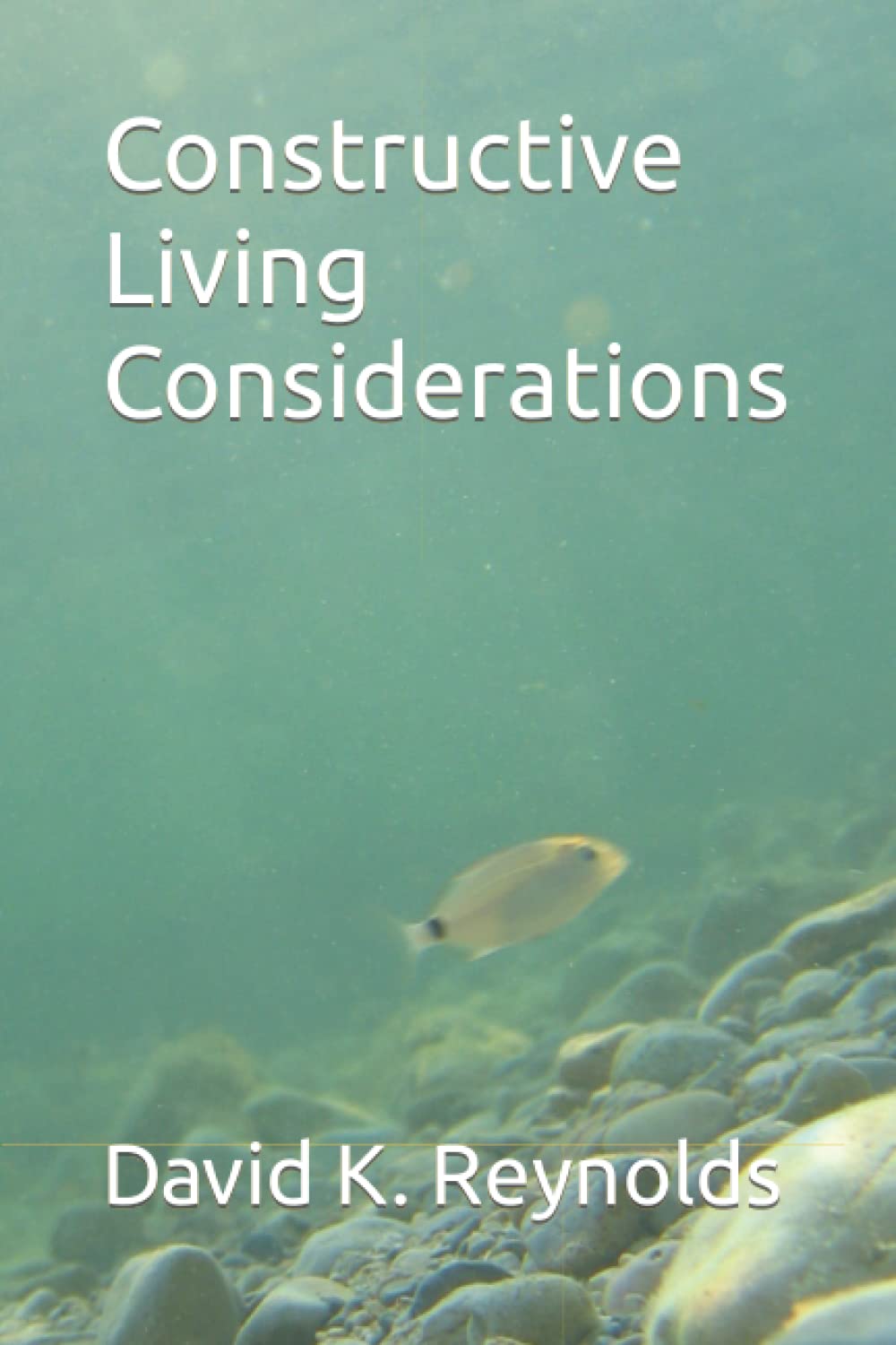 Constructive Living Considerations: Reynolds, David K.: 9798367643329: Amazon.com: Books
