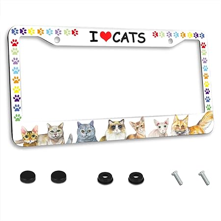 Amazon.com: CAT Chrome Metal Auto License Plate Frame Car Tag Holder ...