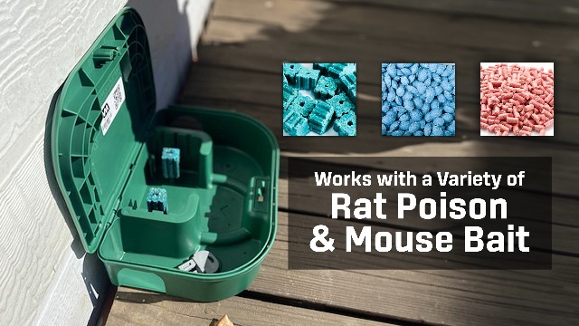 Watch Exterminators Choice 2 Pack Large Rat Bait Station Boxes on ...