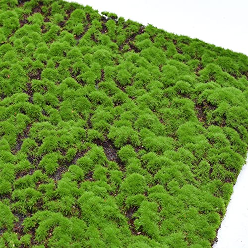 Artificial moss carpet - The 15 best products in comparison - Aquaristics