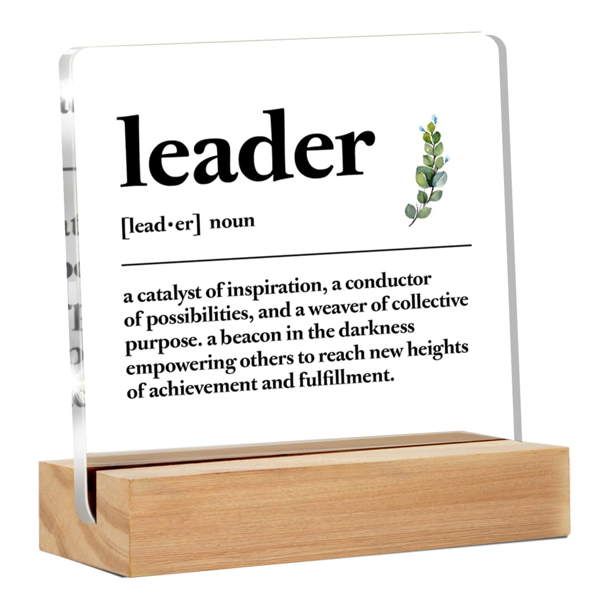 Amazon.com: Leader Gifts, Thank You Gift for Leader, Leader ...