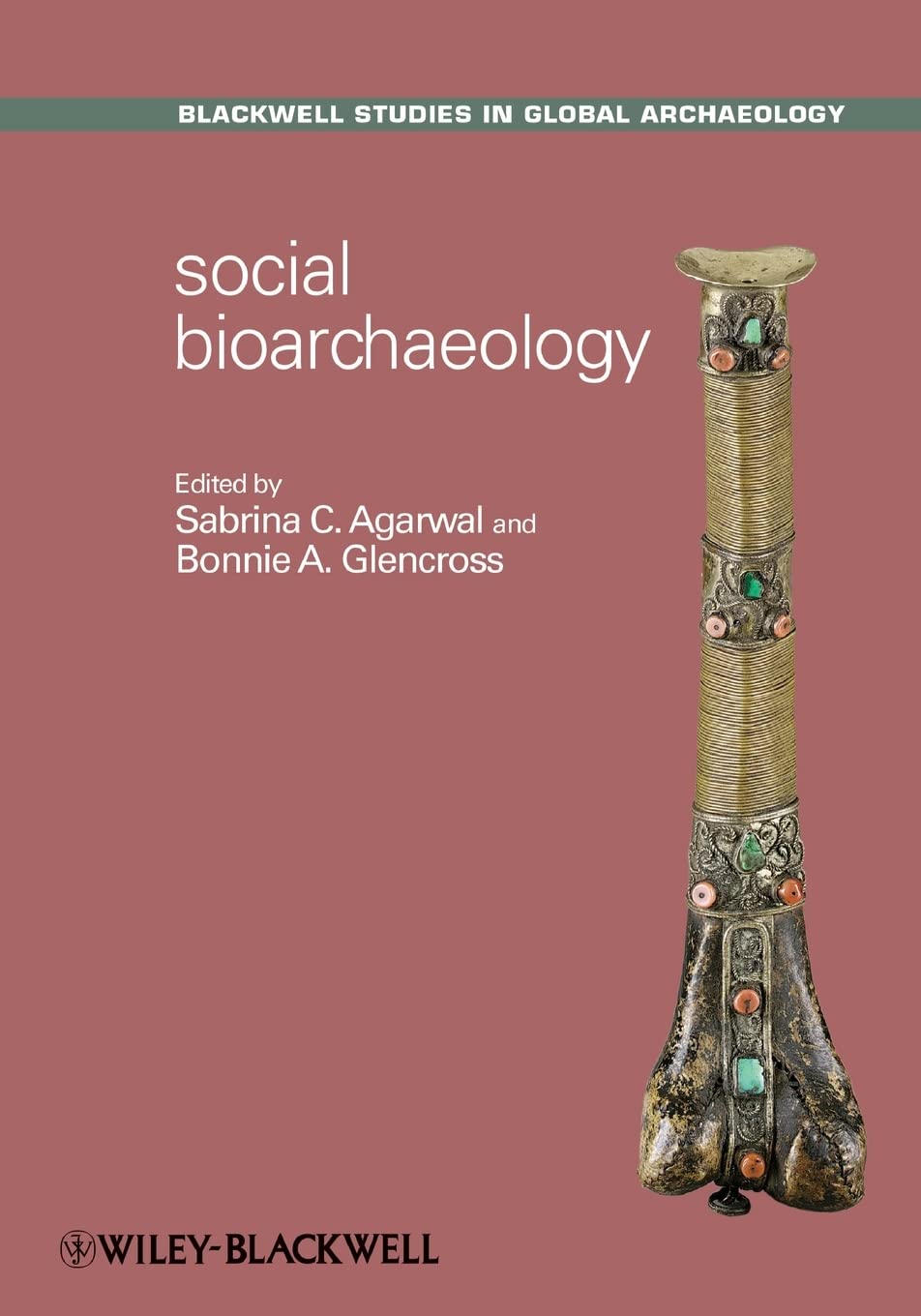 Amazon.com: Social Bioarchaeology: 9781444337679: Agarwal, Sabrina C ...