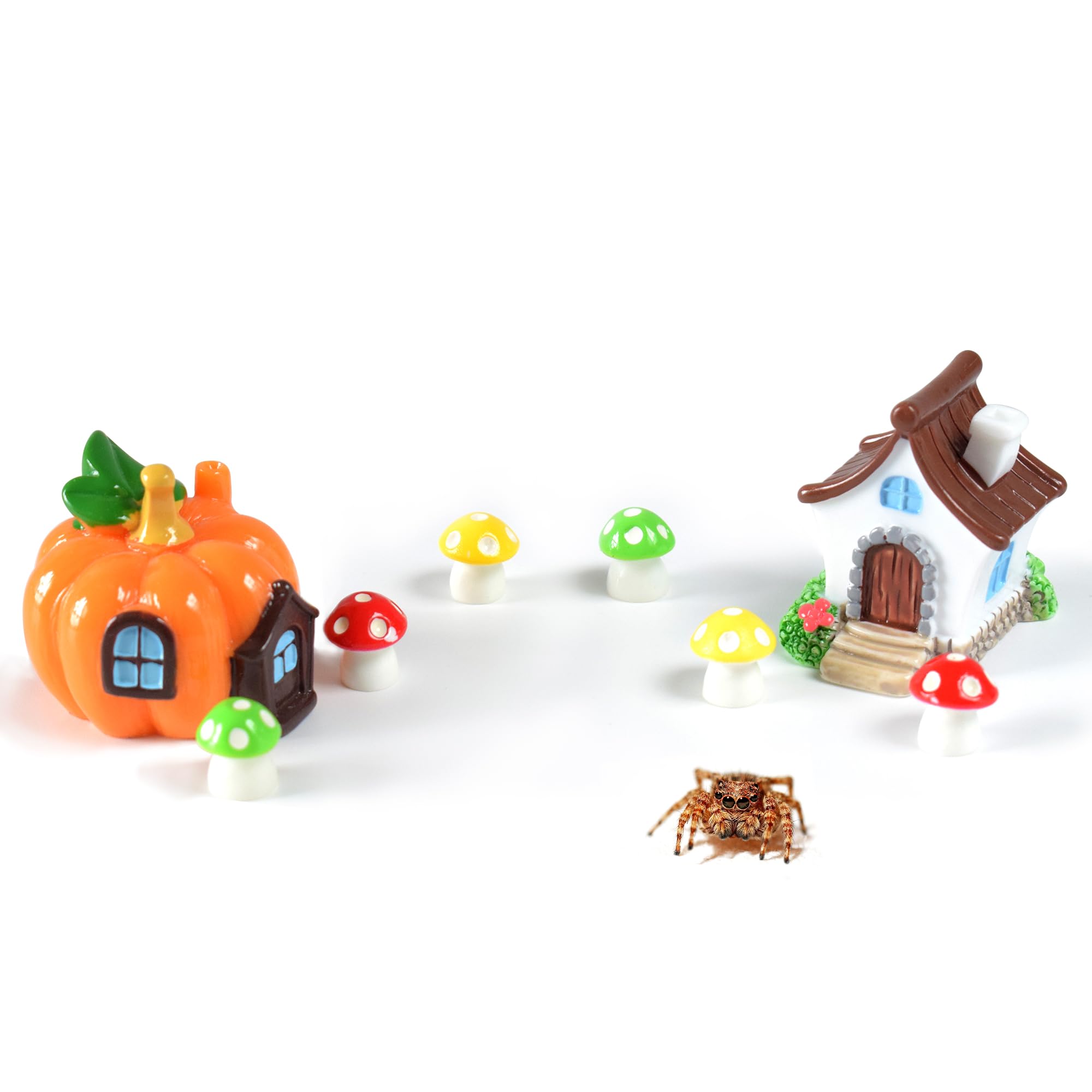 Amazon.com : JJMOLLE Jumping Spider Accessories, 8-Piece Decoration Set ...