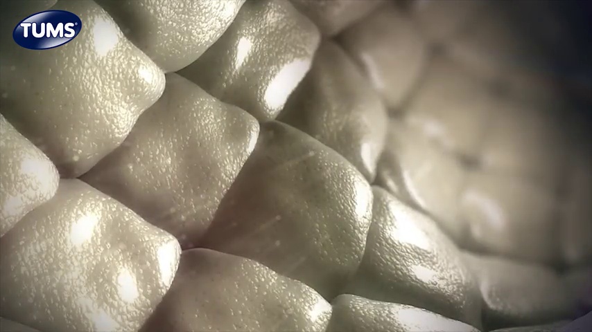 Watch Tums Chewy Bites Assorted Berries Antacid Tablets on Amazon Live