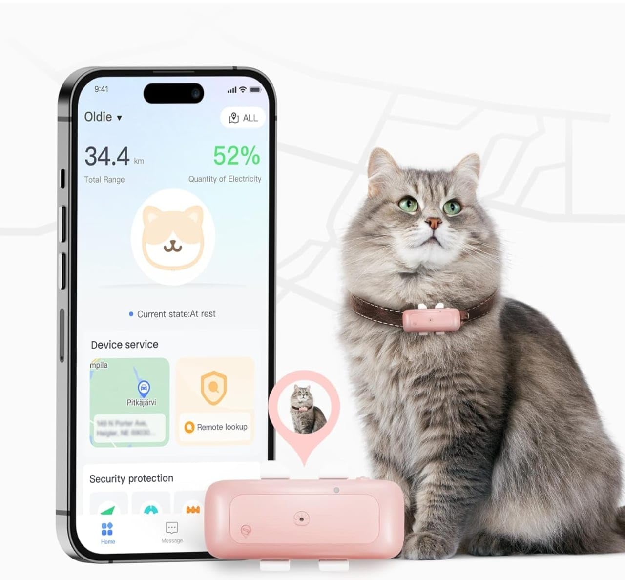 SEETRACK PetTracker S26L - 4G GPS Positioning Terminal with Real-time ...