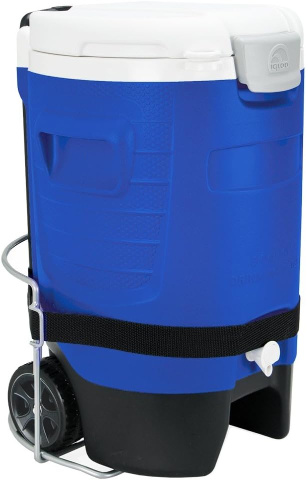 Amazon.com : Gatorade Hydration Cooler, 3 Gallon, Grey : Sports & Outdoors