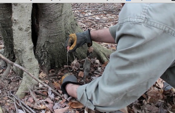 Amazon.com: Prepping: Survival Shelter: How To Make a SHTF Shelter for ...