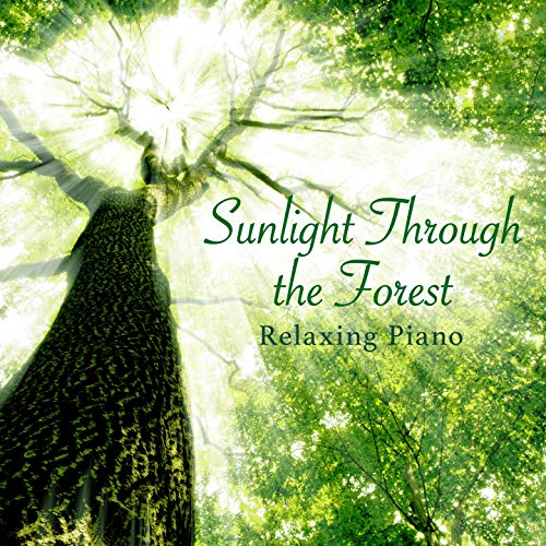 Play Sunlight Through the Forest ~ Relaxing Piano by Relax α Wave on ...