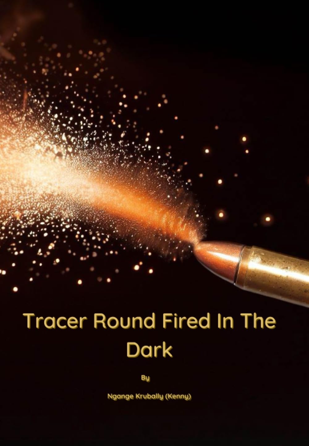 Amazon.com: Tracer Round Fired In The Dark: Story Of A Resilient Woman ...