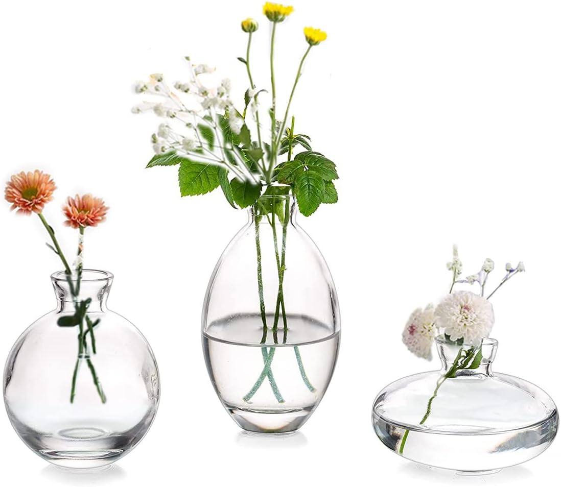 Amazon.com: Small Vases for Centerpieces Glass Esmiome - Clear 3pcs/Set ...