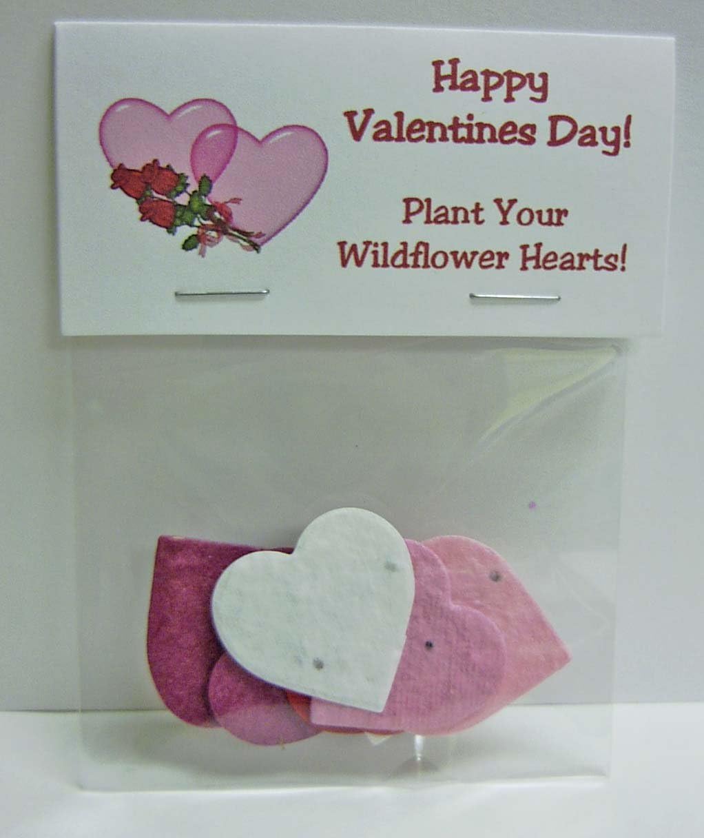 Amazon.com: Set of 6 Valentine Flower Seed Heart Handouts : Toys & Games