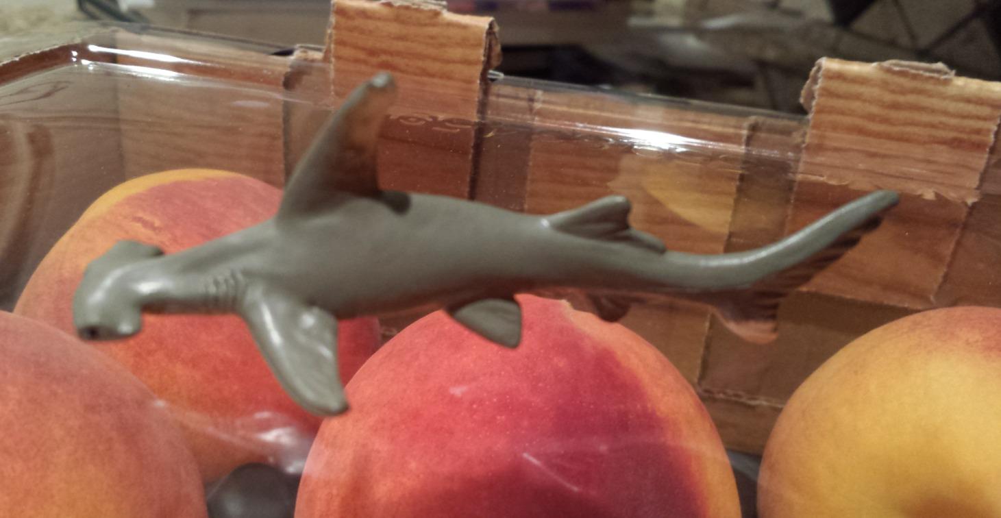 Amazon.com: Safari Ltd. Sharks Bulk Bag - Set of Miniature Toy Ocean ...