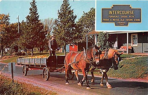 Amish Country, Pennsylvania Postcard at Amazon's Entertainment ...