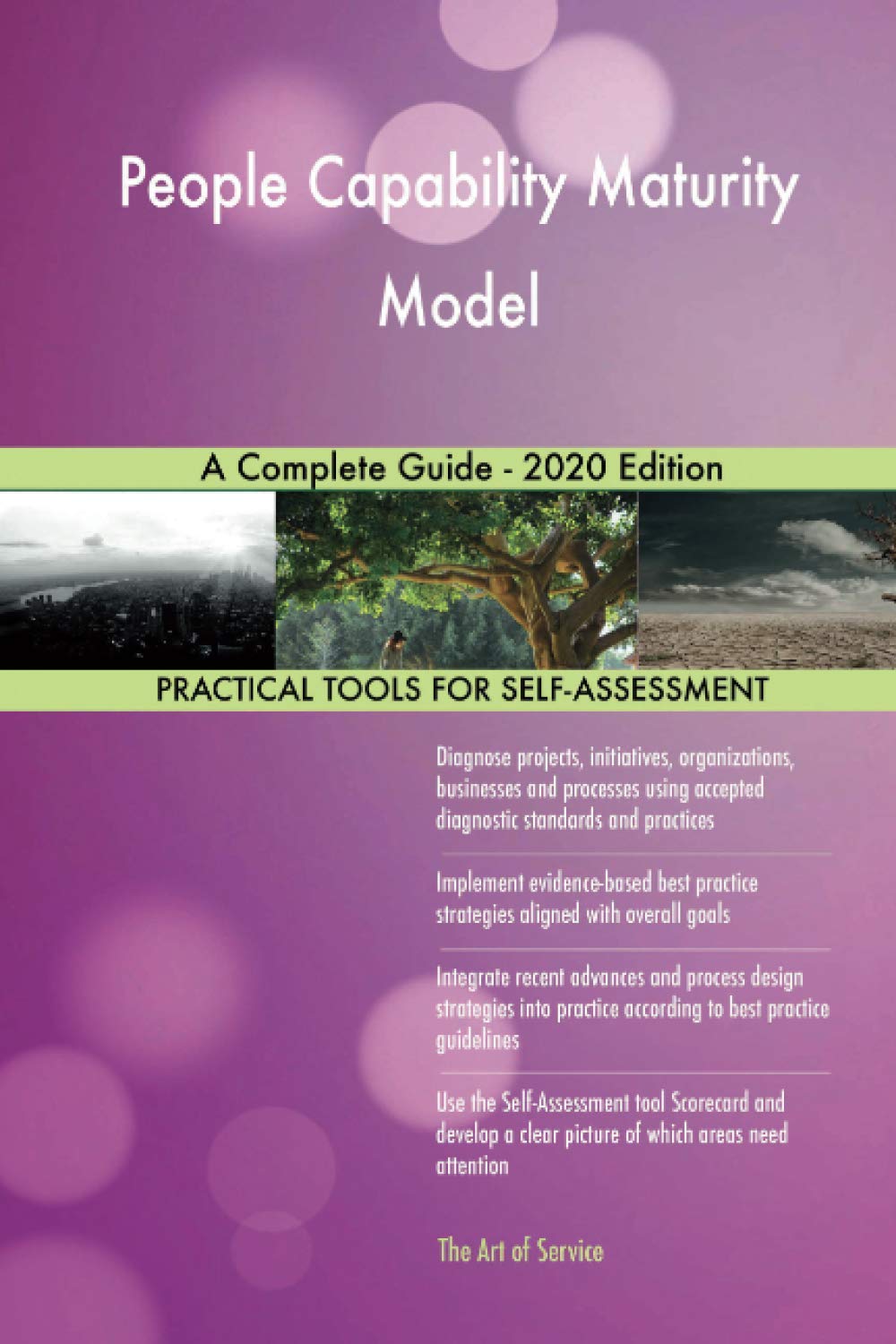 Buy People Capability Maturity Model A Complete Guide - 2020 Edition ...