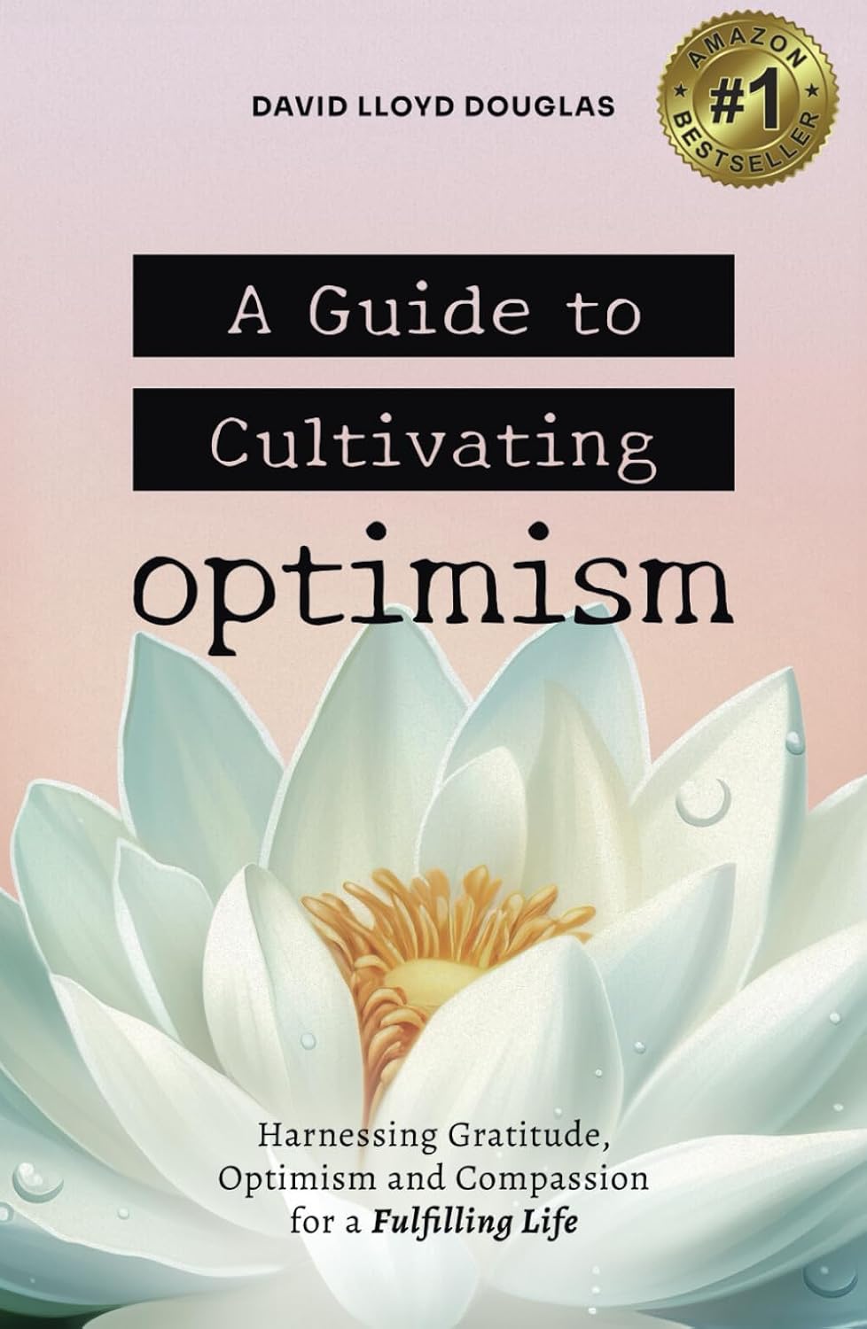 A Guide to Cultivating Optimism: Harnessing Gratitude, Optimism and ...