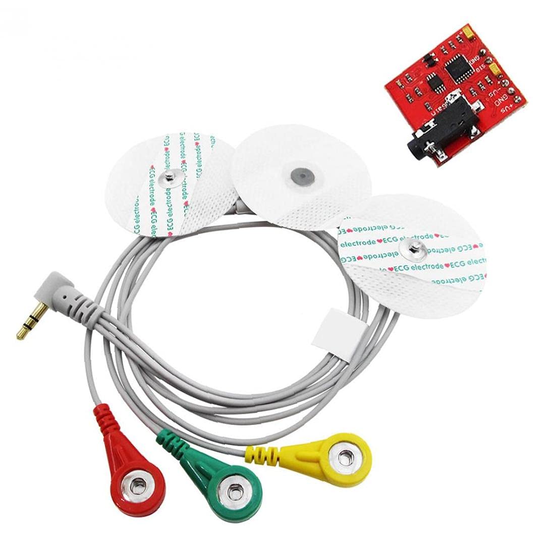 Muscle Signal Sensor Emg Dector Controller Electromyography Detection ...