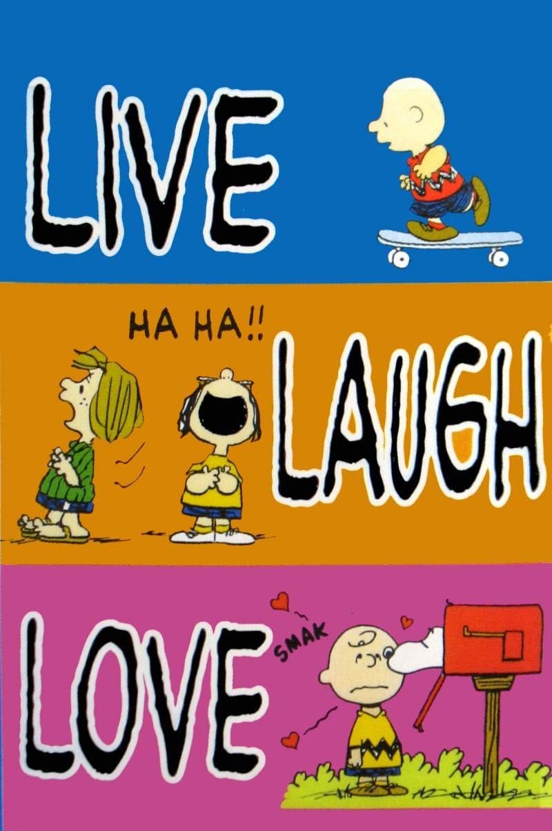 Amazon.com : SNOOPY AND THE PEANUTS GANG LIVE~LAUGH~LOVE~MINI FLAG 12 ...