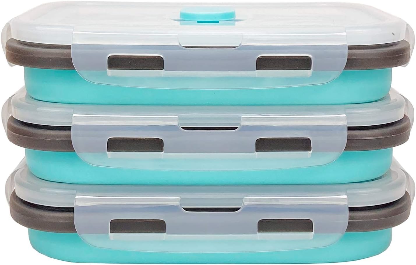 Amazon.com: CARTINTS Set of 3 Collapsible Food Storage Containers with ...