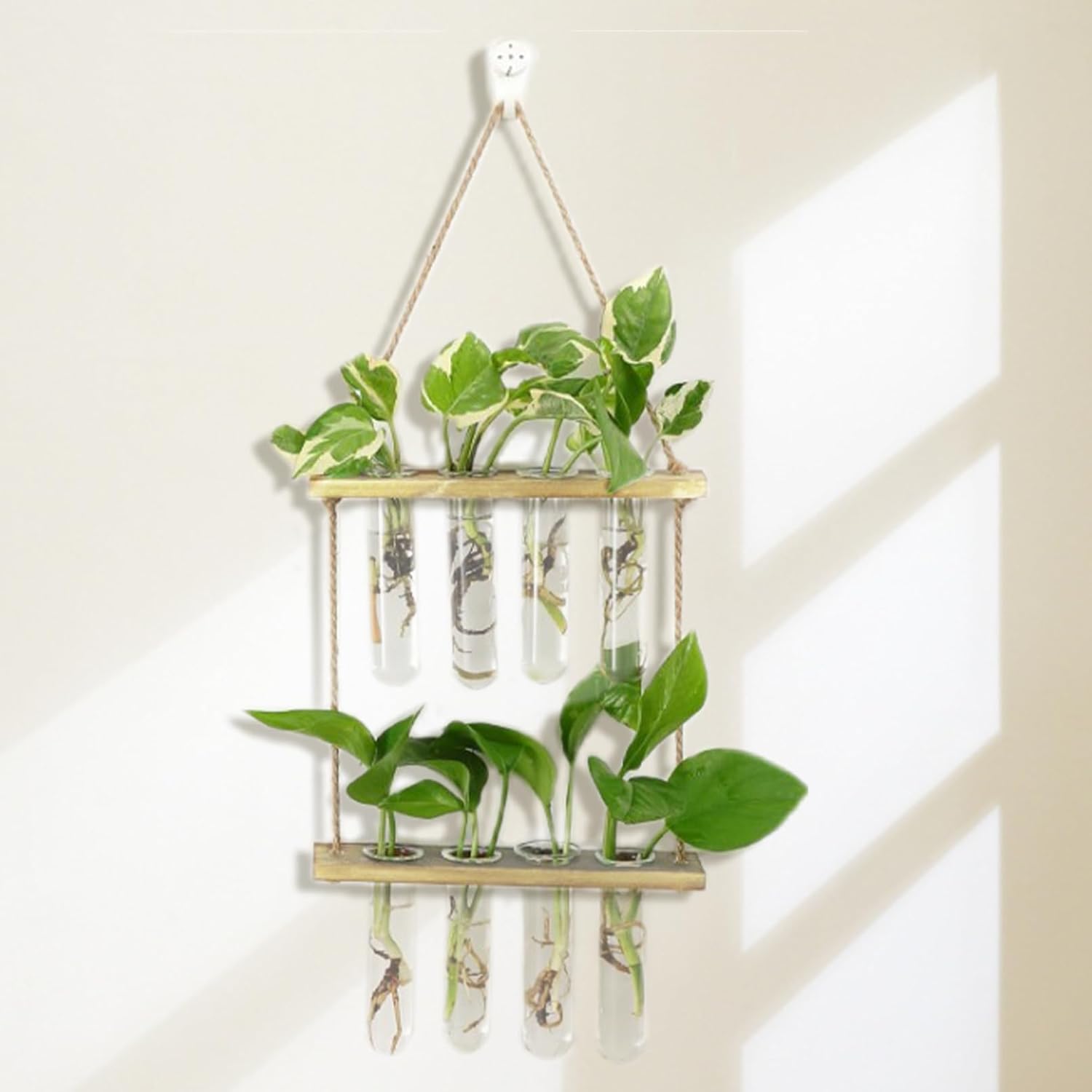 Amazon.com: kathson Plant Propagation Station Propagation Wall Hanging ...
