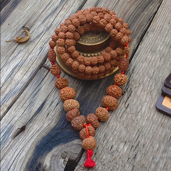 Ek se Chaudah Mukhi Rudraksha Mala A1 Quality 1 to 14 Mukhi Sarva ...