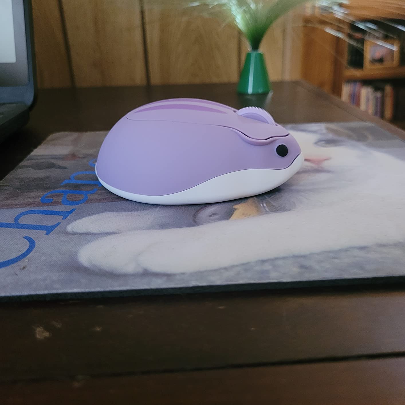 $3/mo - Finance Mini Small Wireless Mouse for Kids, Cute Animal Ladybug ...