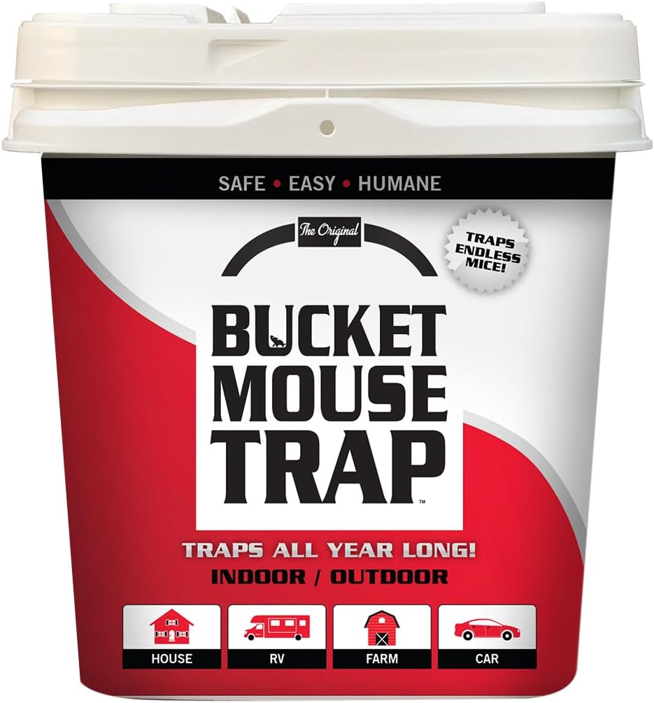 Amazon.com : Little Bucket Mouse Trap - Complete kit Includes Bucket ...
