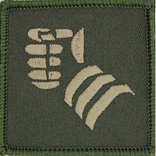Official Issue 20th Armoured Brigade Combat Team GREEN TRF x3 TRF Pack ...