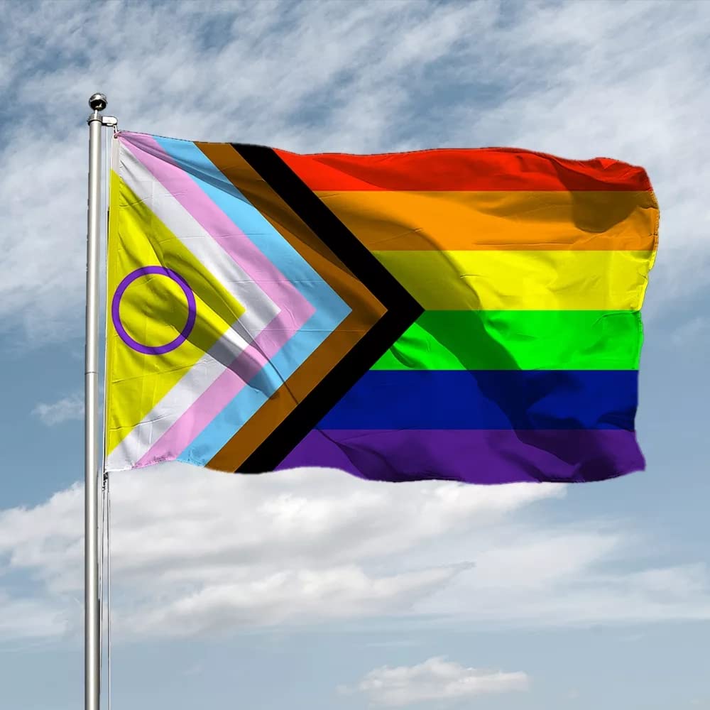Progress Pride Flag, LGBTQIA2+ Flag, Gay Pride Flag, Rainbow Flag, Gay ...