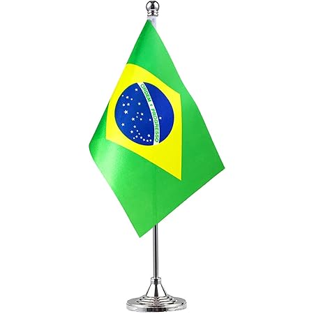 Amazon.com: Kind Girl 25 Pack Hand Held Small Mini Flag Brazil Flag ...