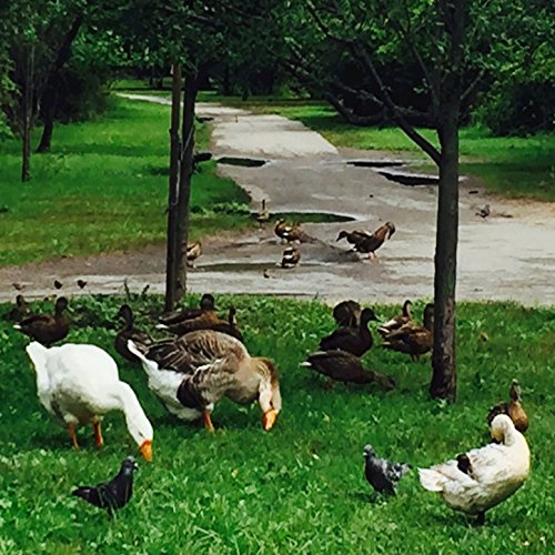 Double O Nobody by Bruce Mack on Amazon Music - Amazon.com