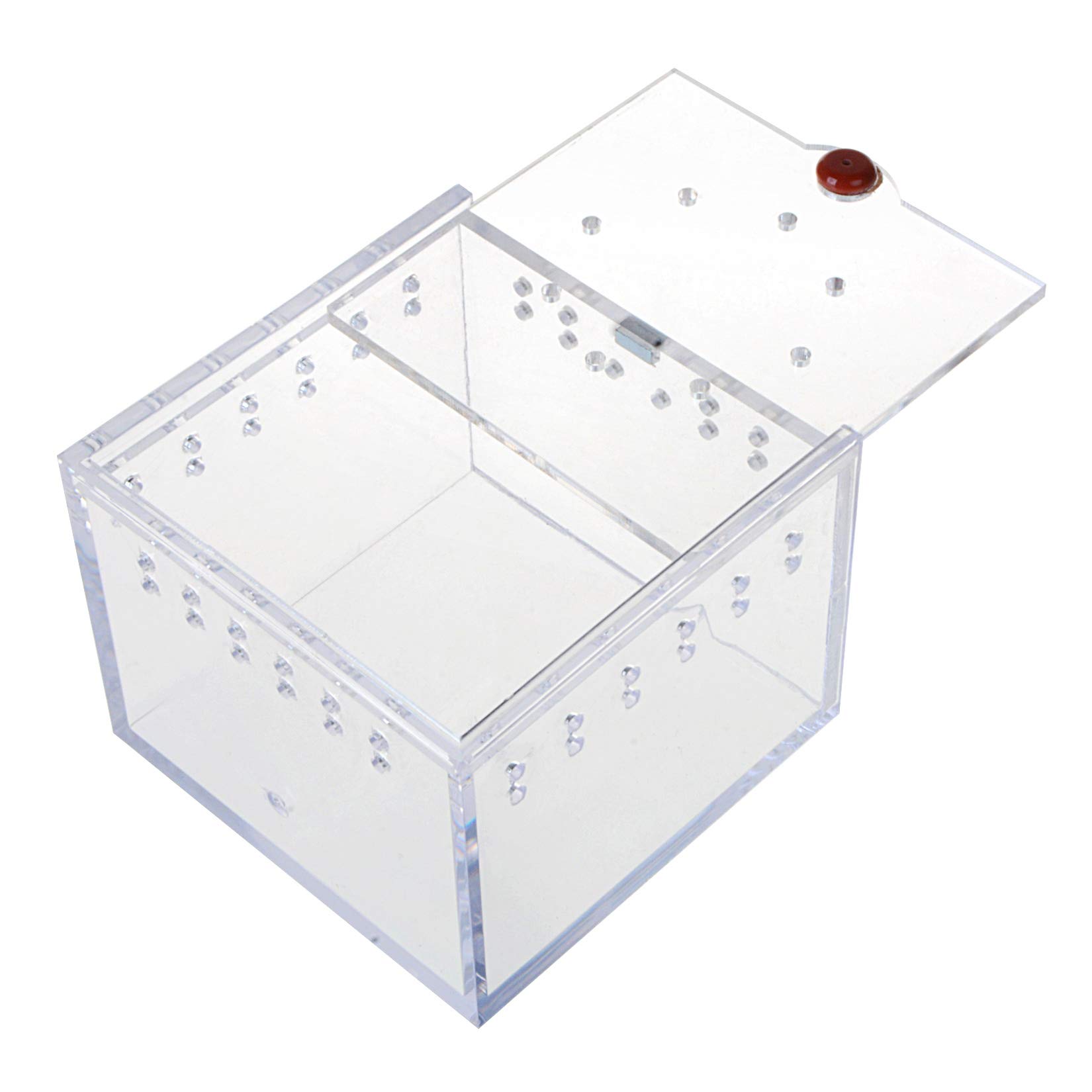 Buy S Acrylic Reptile Breeding Box Jumping Spider Micro Big Habitat ...