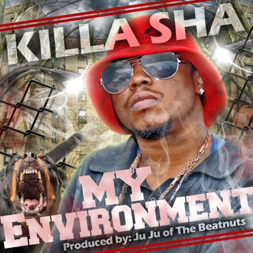 Amazon.com: My Environment [Explicit] : Killa Sha: Digital Music