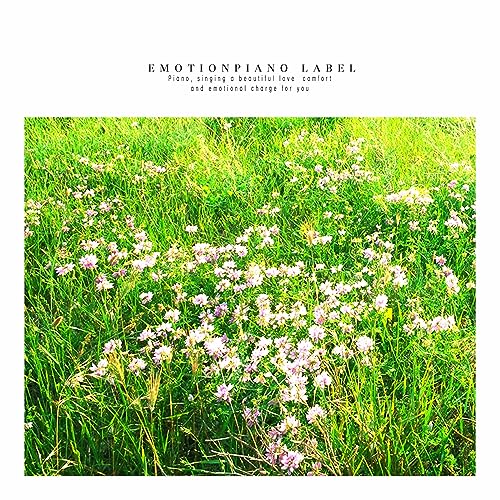 Play Music of a calm melody for a good night's sleep (sleeping piano ...