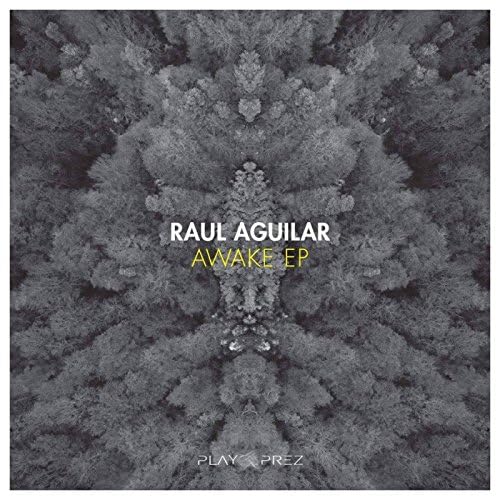 Play Awake EP by Raul Aguilar on Amazon Music