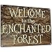 Amazon.com: Welcome to the Enchanted Forest, 8.5 x 11.5 Inch Aluminum ...