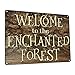 Amazon.com: Welcome to the Enchanted Forest, 8.5 x 11.5 Inch Aluminum ...