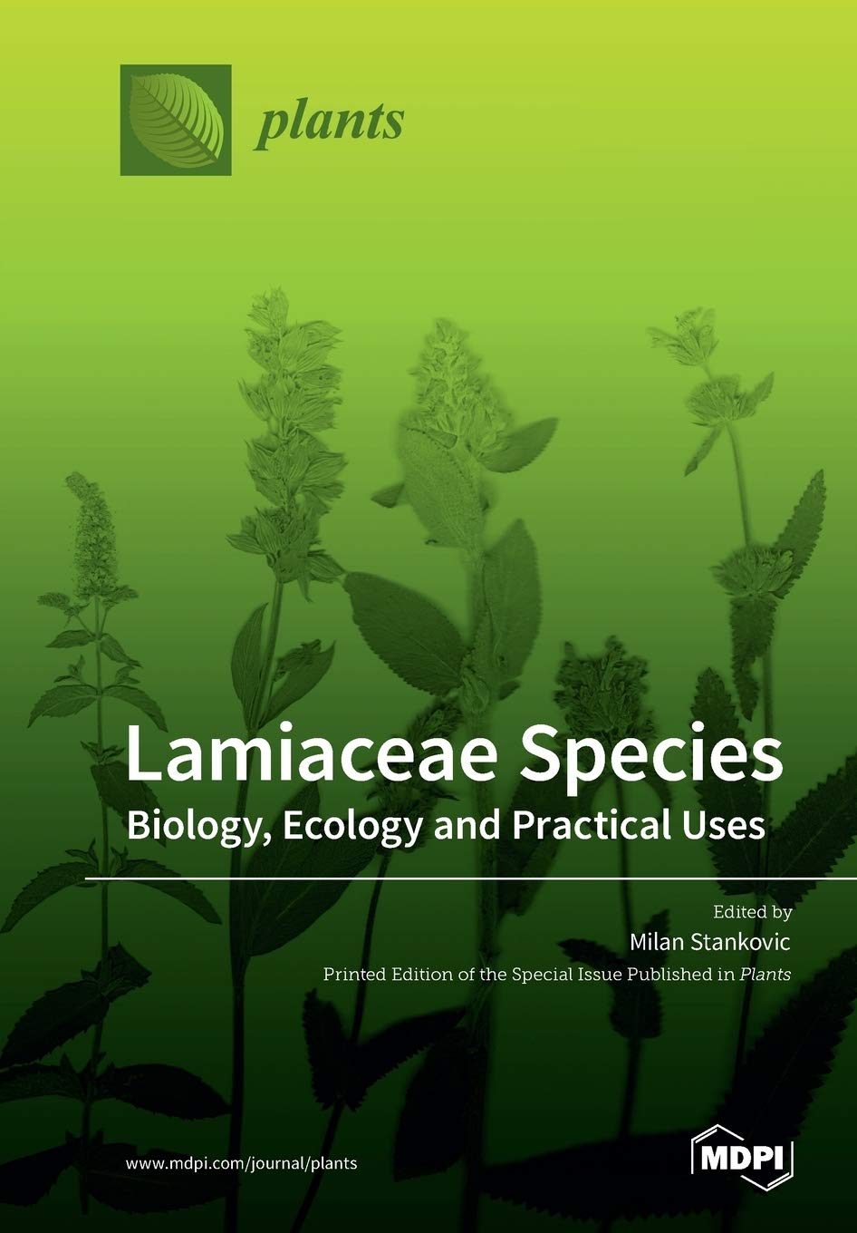 Snapklik.com : Lamiaceae Species: Biology