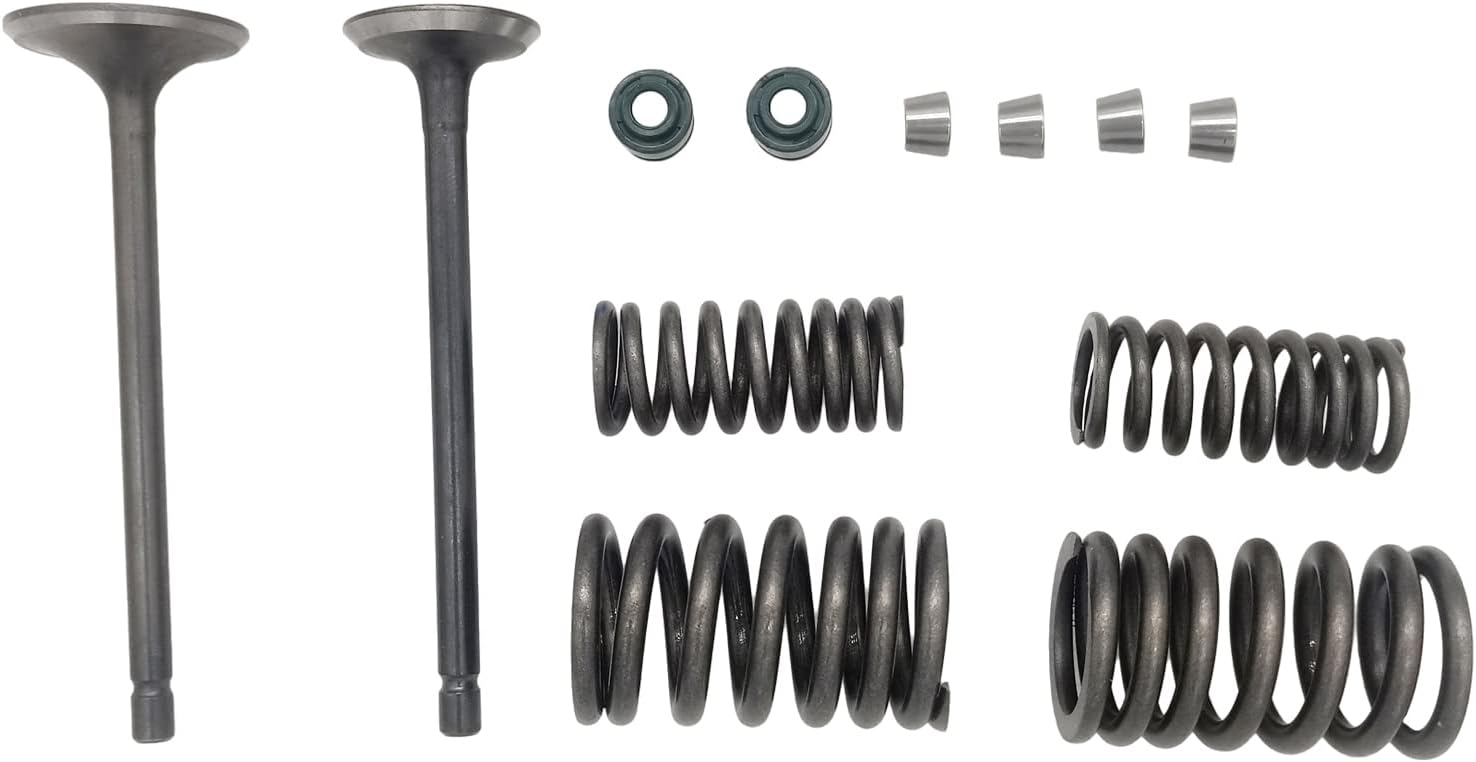 Amazon.com: Cylinder Head Intake Exhaust Valve Kit Compatible with ...